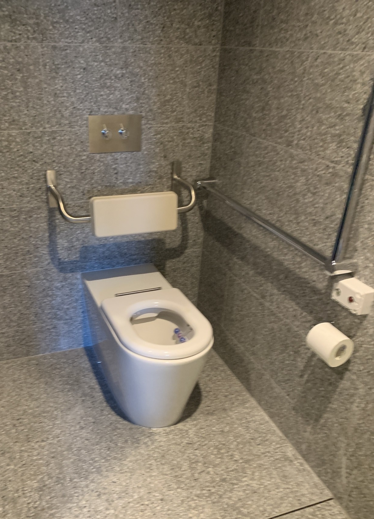 Mr Grab Rail | Professional Accessibility Modifications